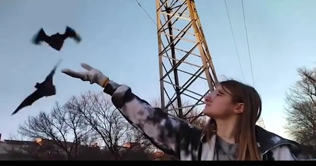 Watch Now: Ukrainians release bats they stored in fridges while fleeing ...