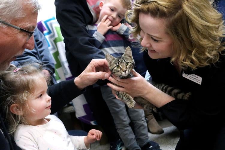 High County Humane selected as 2024 Organization of the Year as it ...