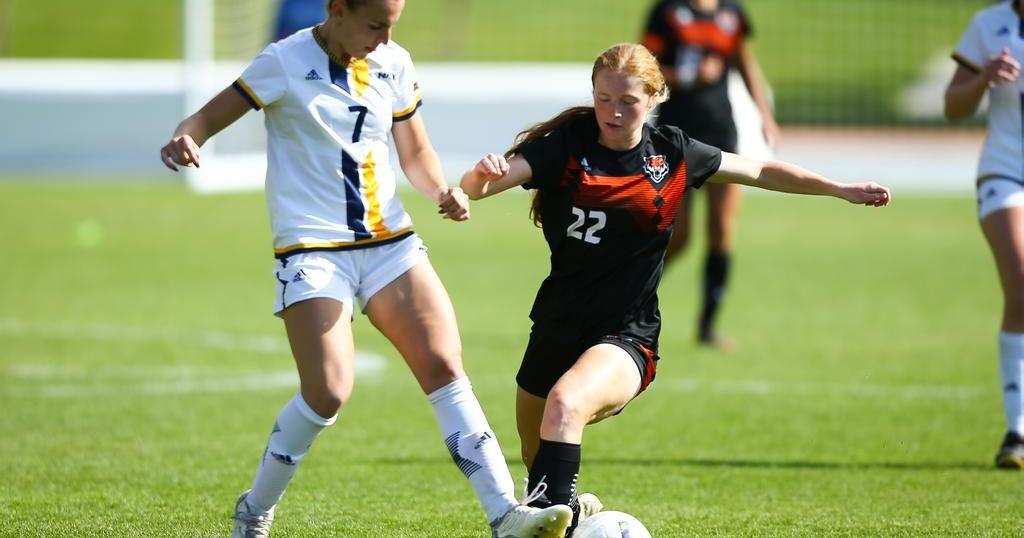 NAU ROUNDUP: Soccer hosts pair of home matches starting today | Local ...