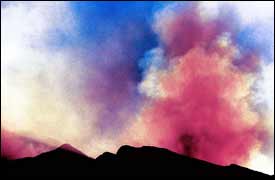 Huachuca wildfire grows to 1,350 acres | | azdailysun.com