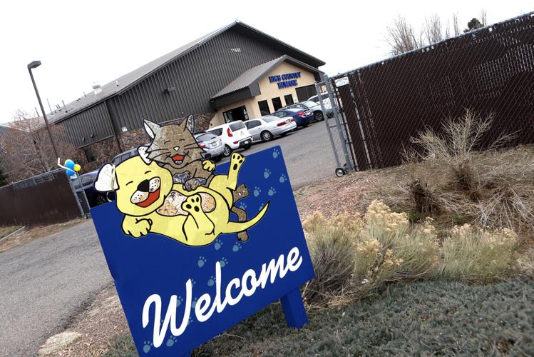 High County Humane selected as 2024 Organization of the Year as it ...