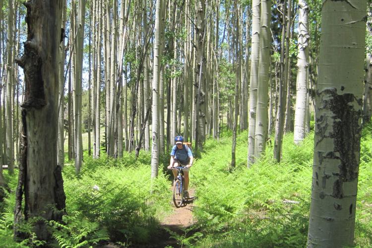 Ask a Ranger: Celebrating the Arizona National Scenic Trail