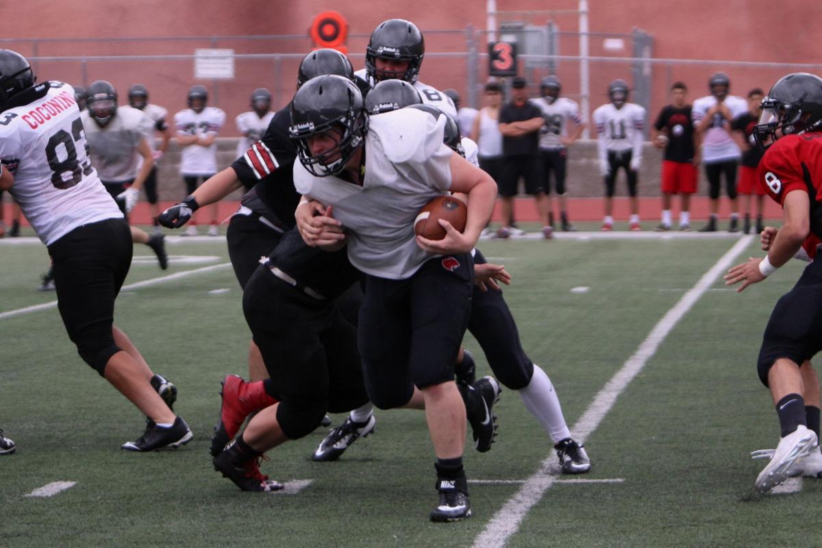 Coconino High School Football | | azdailysun.com