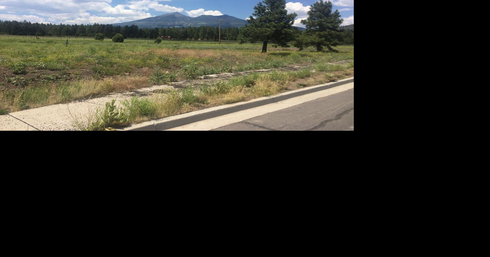 Flagstaff Council majority stays with Schultz Pass housing, despite ...
