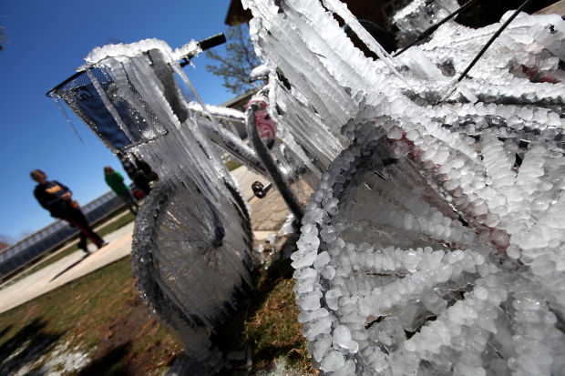 University Ice Sculptures | Local News | azdailysun.com