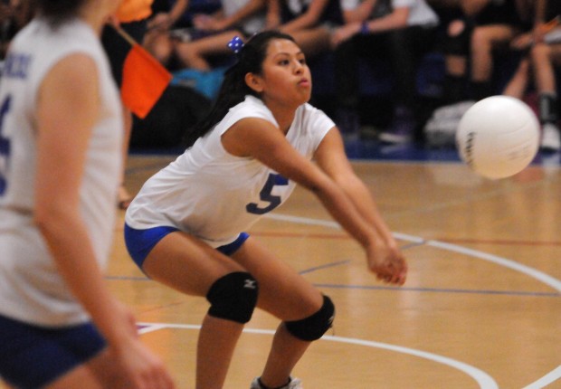 Coach has Spartans volleyball on the rise