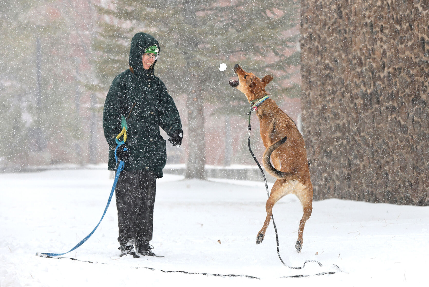 Gallery: Winter storm brings patchy snow and gusty wind | Local News ...