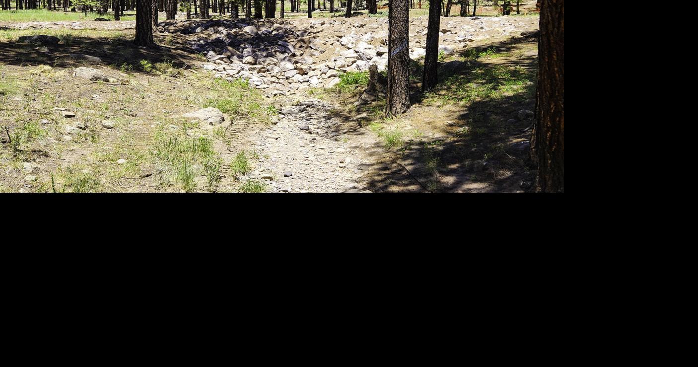 Phase 2 of Schultz Creek Watershed Restoration Project begins this week ...