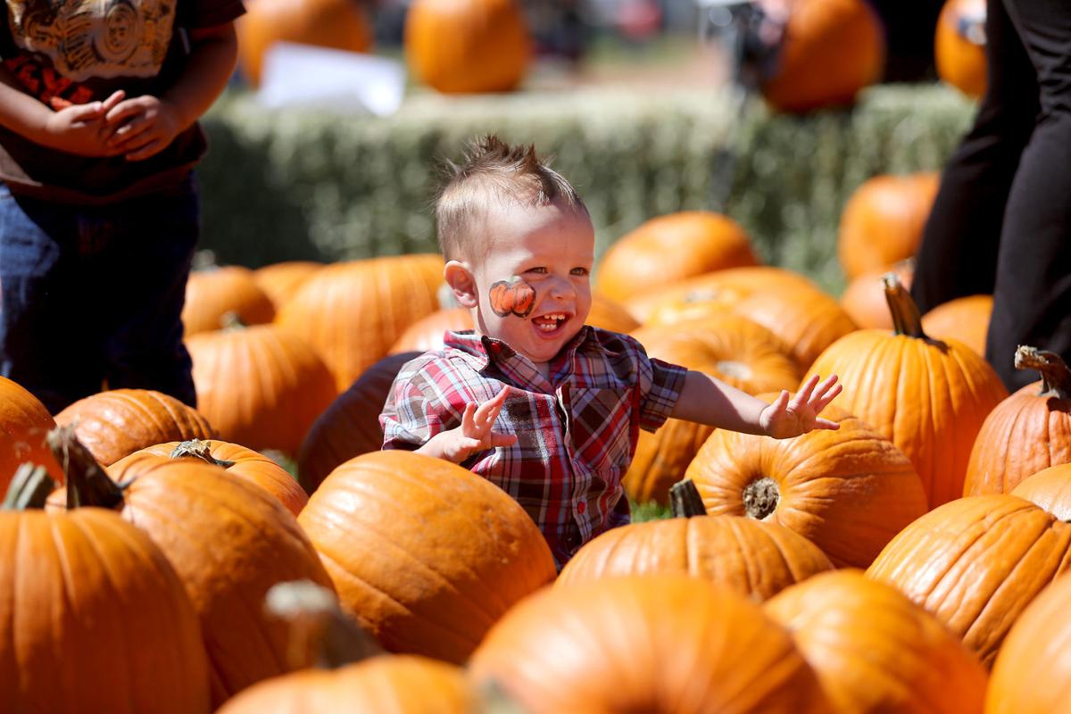 Community Thanks: Cornucopia Fall Festival 2018