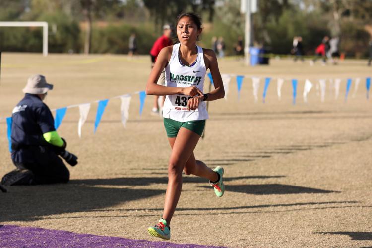 Gallery: Division II and D-IV cross country state championships | Local ...