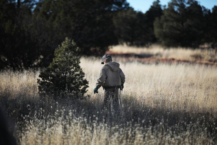 Gallery: Young entrepreneur cutting Christmas trees for a go-kart ...