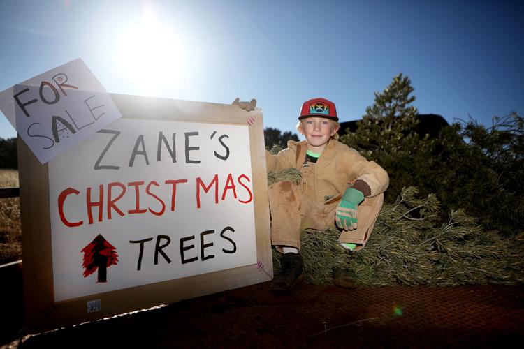 Gallery: Young entrepreneur cutting Christmas trees for a go-kart ...