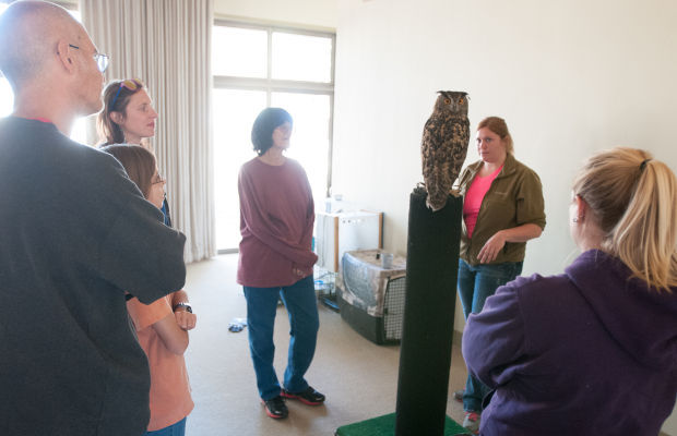 Raptor handling at The Arb | | azdailysun.com