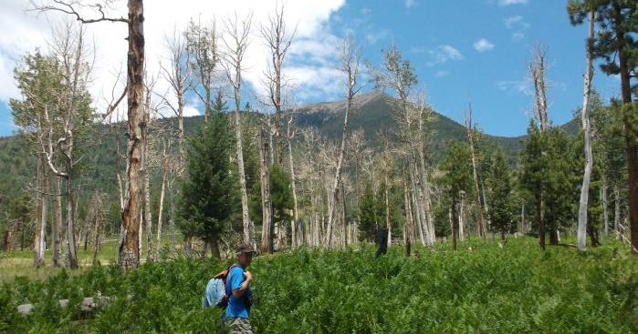 Outdoors: More prairie power at Freidlein | Recreation | azdailysun.com