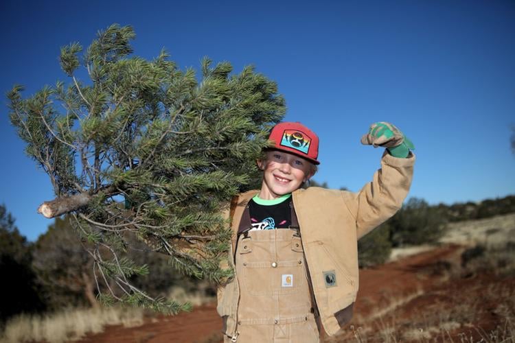 Gallery: Young entrepreneur cutting Christmas trees for a go-kart ...