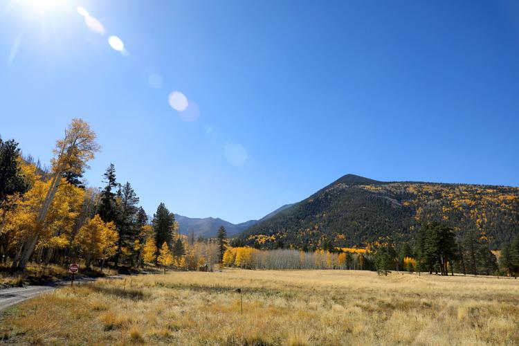 Gallery: Work continues on roads to Lockett Meadow as aspens hit peak ...