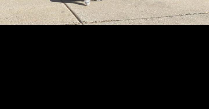 NAUPD officer hospitalized after off-duty crash | Local News ...