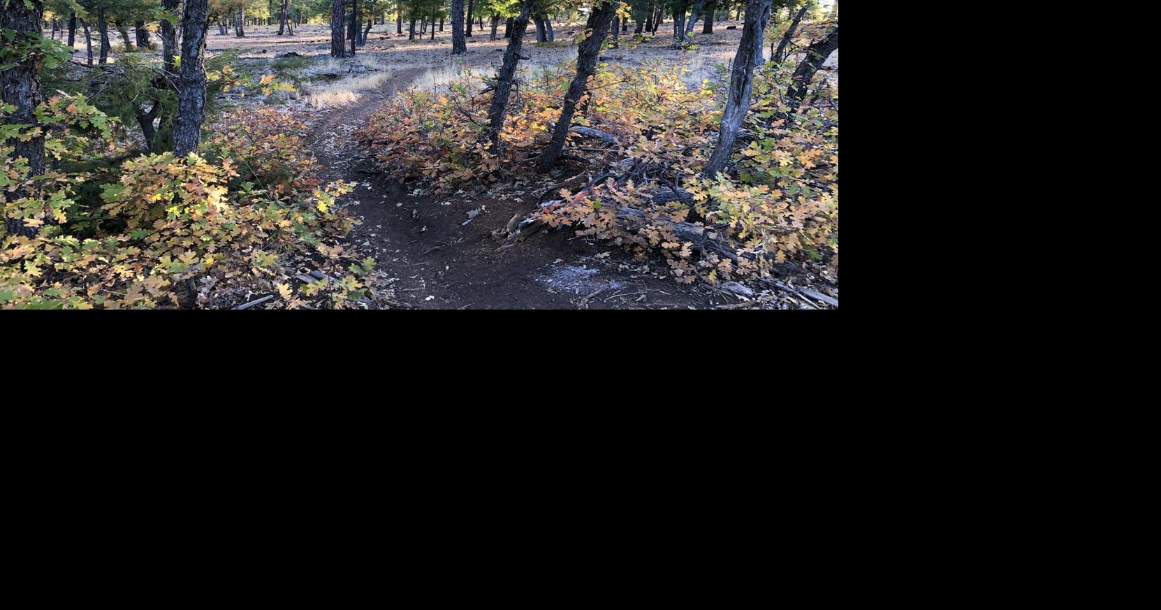 Outdoors: Seeking solitude on the Kelly Trails | Local News ...