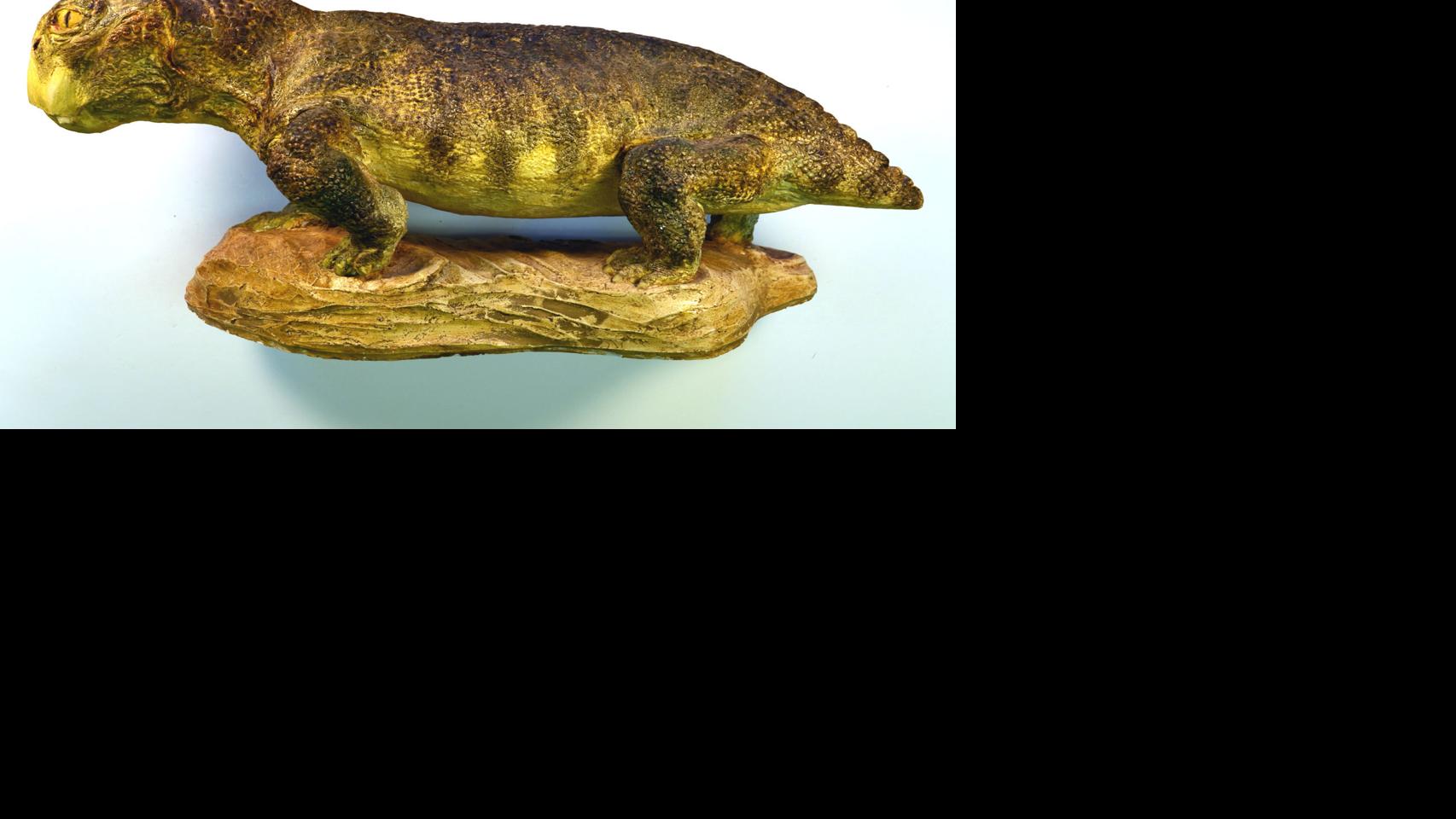 Discovery of Lystrosaurus and a scientific revolution | Columnists ...