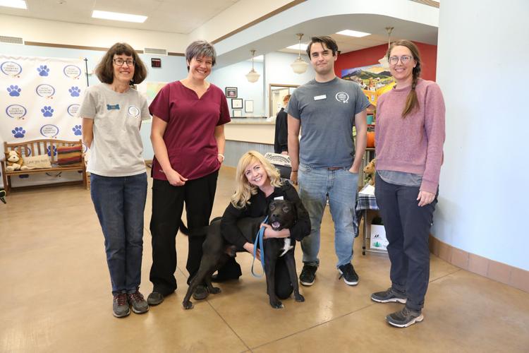 Best Pet Adoption and Non-Profit: High Country Humane | Best Of ...