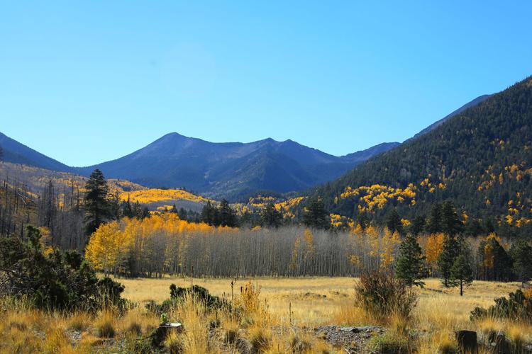 Gallery: Work continues on roads to Lockett Meadow as aspens hit peak ...