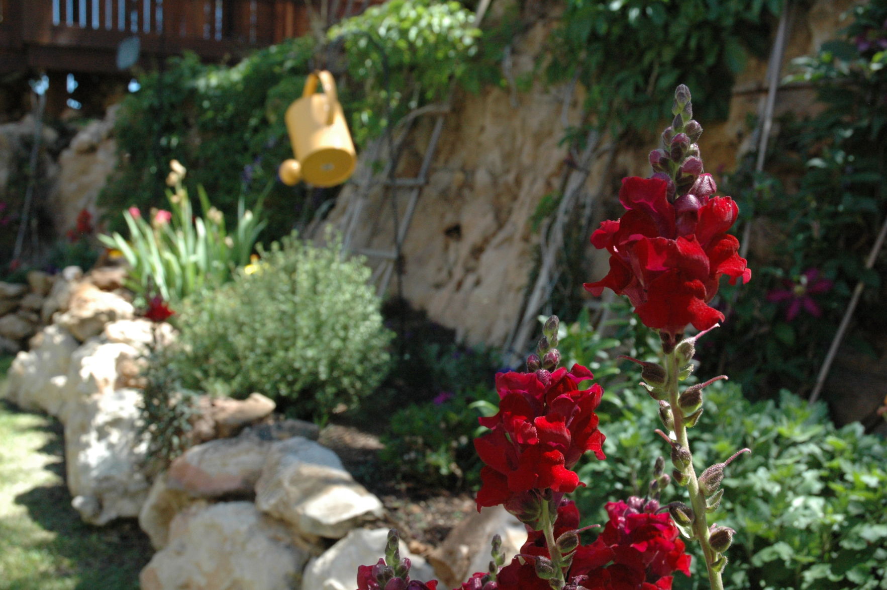Some of Our Favorite Flagstaff Backyards and Outdoor Living Spaces ...
