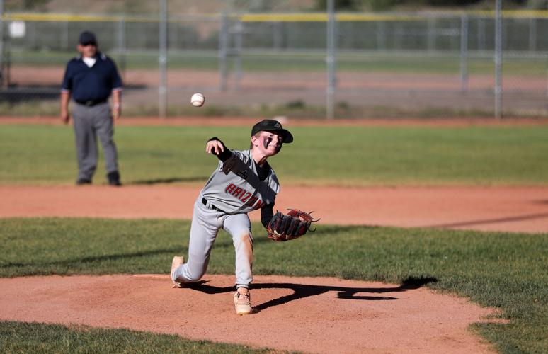 WFLL Gray crowned Majors city champion over WFLL Camo | Local Sports ...