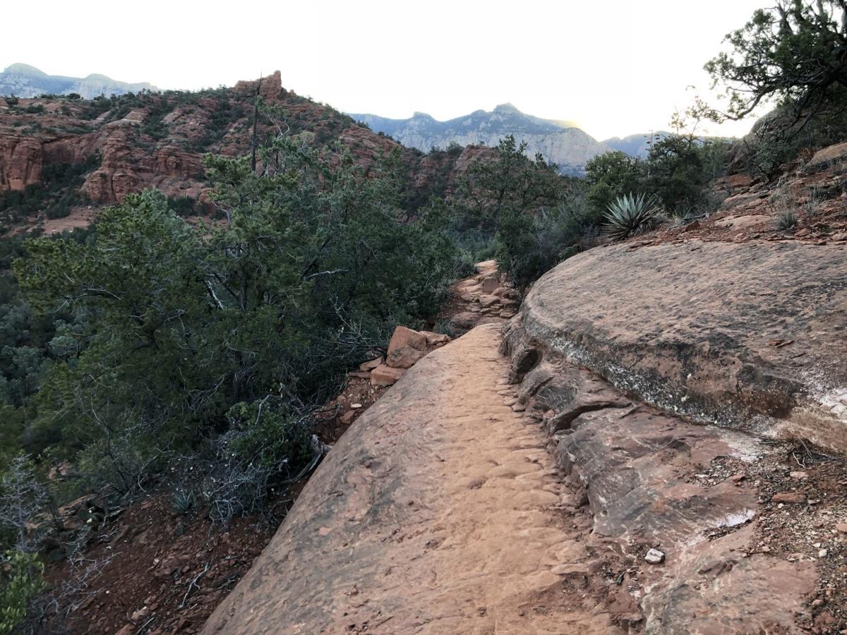 You can go Hog wild on these Sedona trails | Local | azdailysun.com