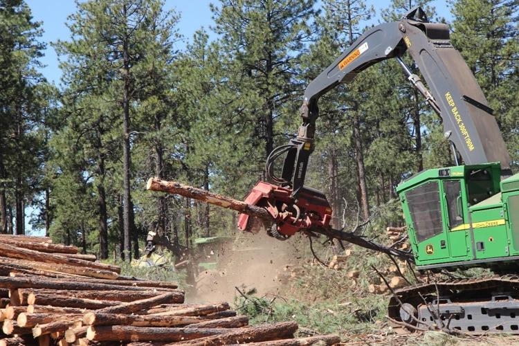 Coconino County Flood Control District, Coconino National Forest move ...