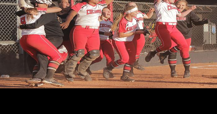 Coconino Panthers capture section title with walk-off win