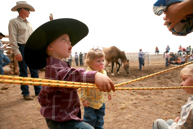 Hashknife sale a Babbitt Ranches tradition | | azdailysun.com