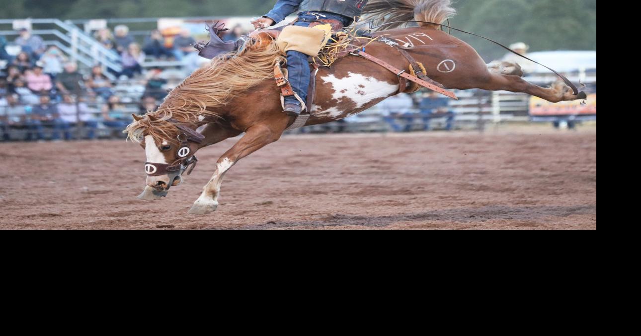 Flagstaff Pro Rodeo nixed due to fires after Coconino County decision ...