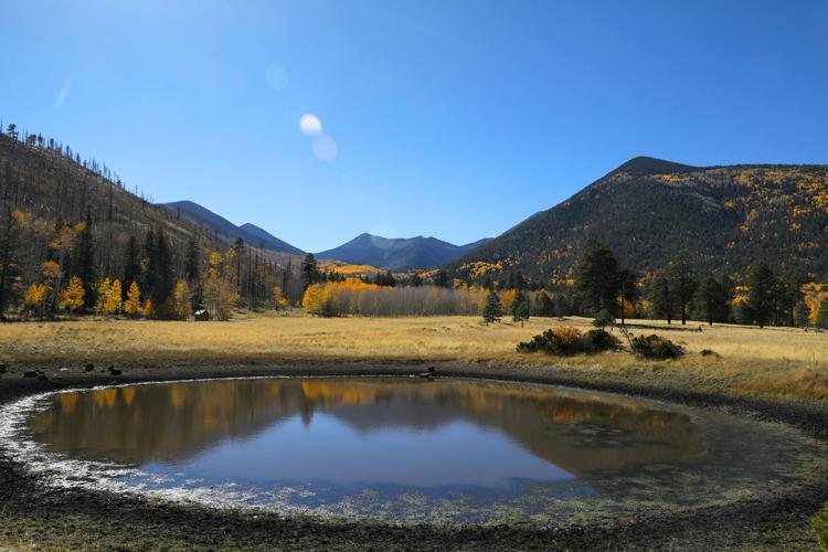 Gallery: Work continues on roads to Lockett Meadow as aspens hit peak of turn | Local News ...