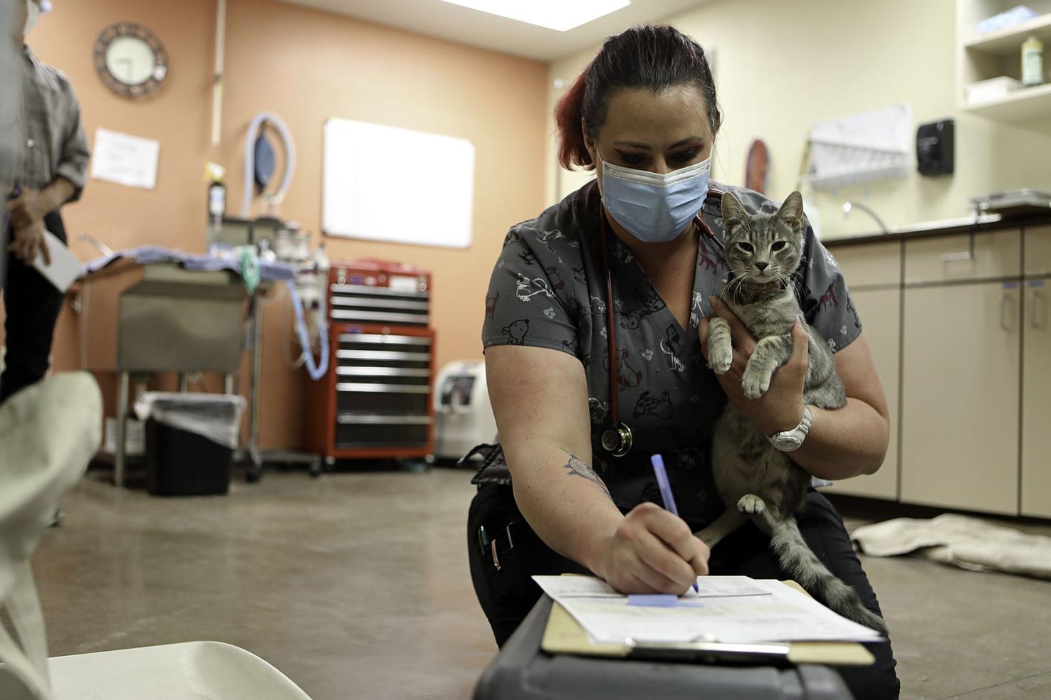 Best Pet Adoption and Non-Profit: High Country Humane | Best Of ...