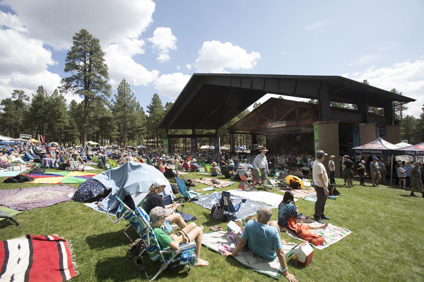 Flag Live! | azdailysun.com