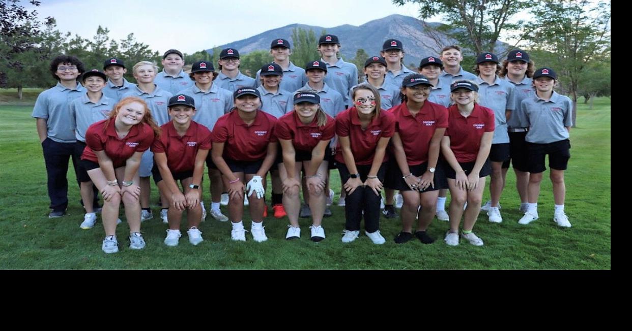 CHS golf growing, Panthers encouraged by recent success | Local Sports ...