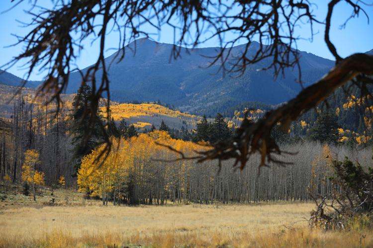 Gallery: Work continues on roads to Lockett Meadow as aspens hit peak ...