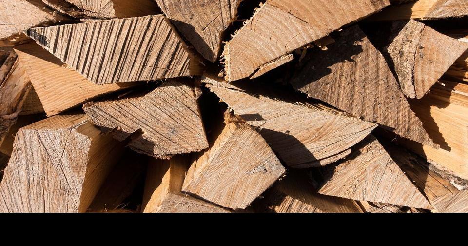 Several areas of forest around Flagstaff opened for free firewood ...