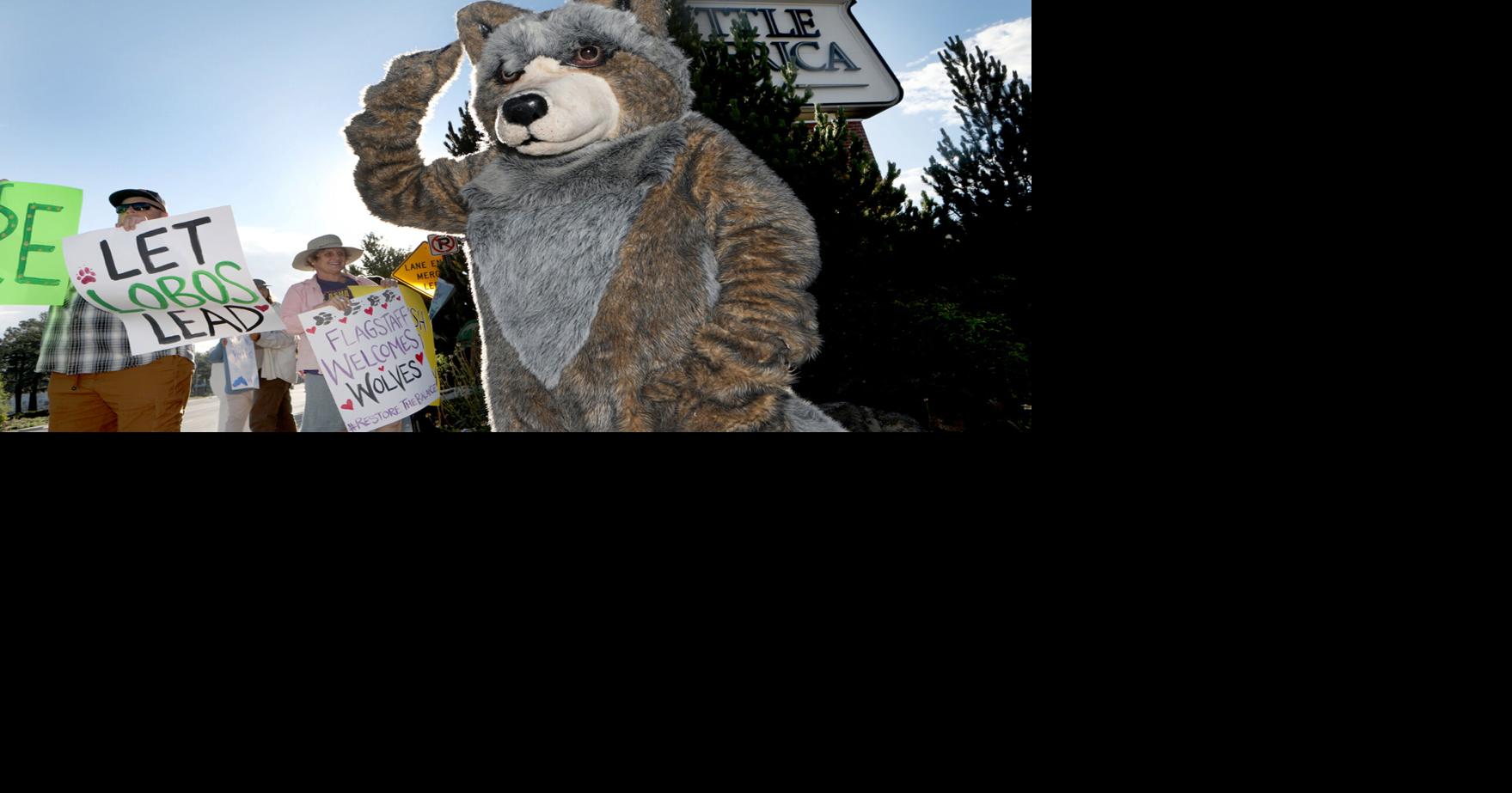 Gallery: Protest against removal of Mexican wolf family near Grand ...