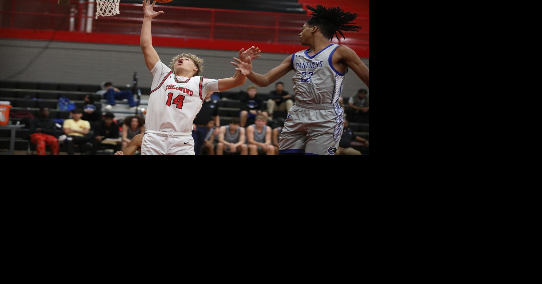 LOCAL ROUNDUP: Panthers boys basketball falls to Paradise Honors in ...