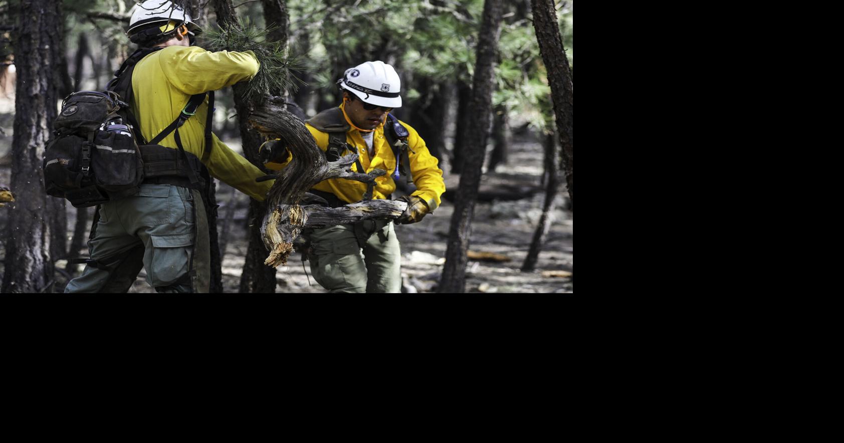 Showtime after snow time: Officials with national forests work to ...
