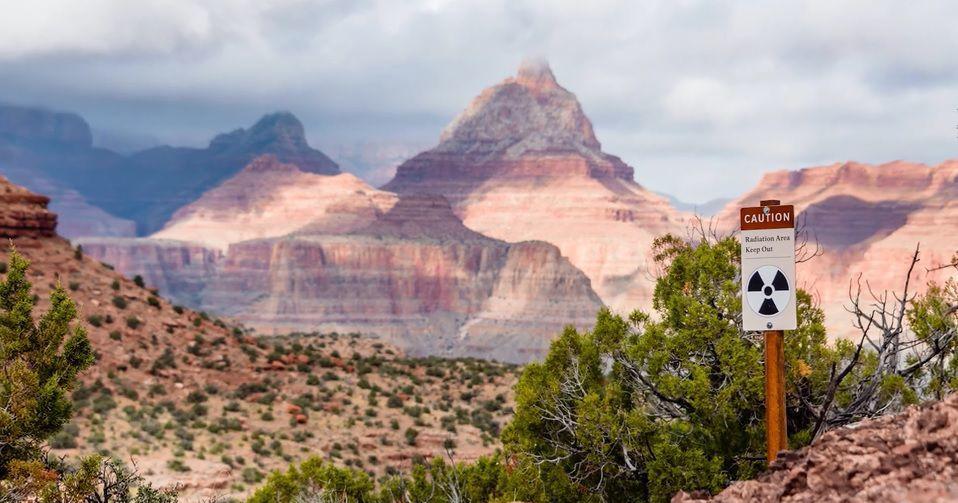 Flagstaff Mountain Film Festival brings a wide variety of features on ...