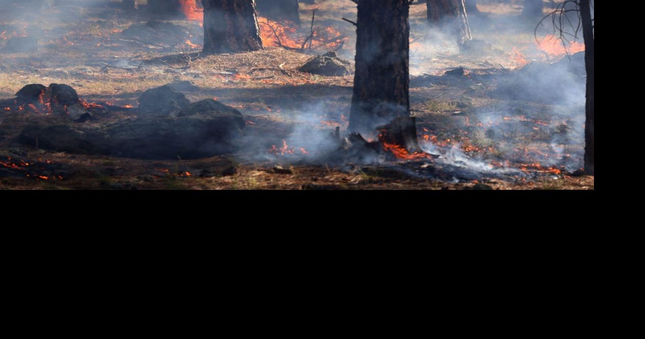 Coconino National Forest resumes treatment on 2 projects near Clints ...
