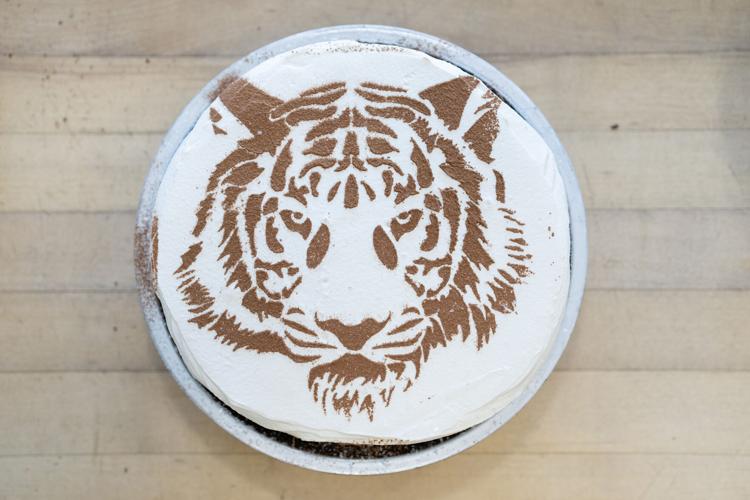 Every day is Pie Day for this MMA fighter-turned-baker | | azdailysun.com
