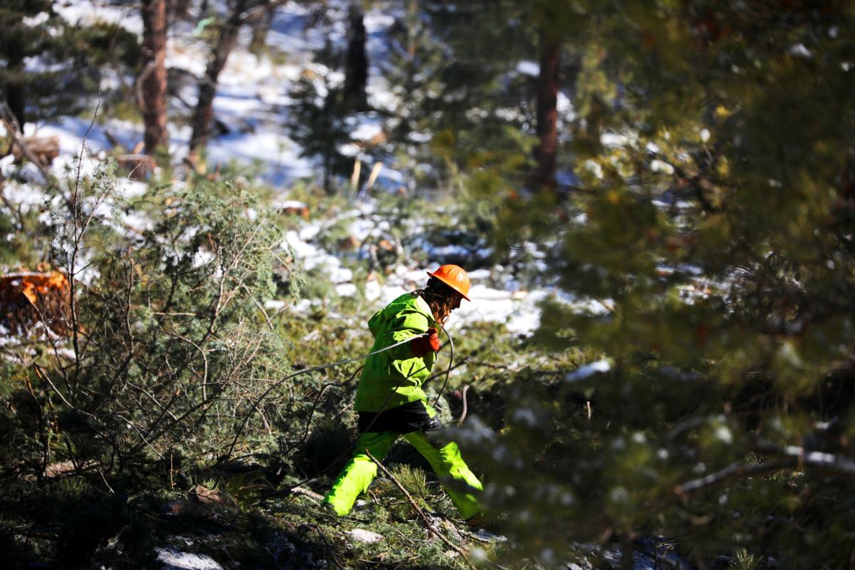 Logging contractor explains helicopter logging operations | Local News ...