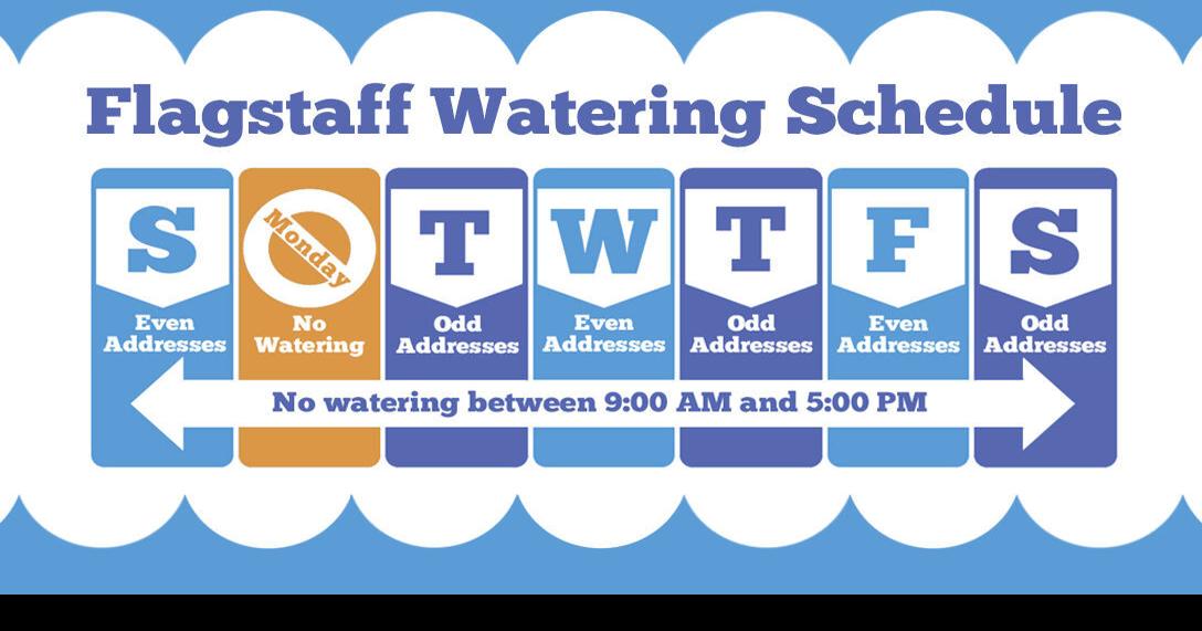 Watering Rules: Know When to Water | | azdailysun.com