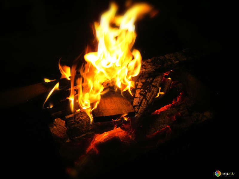 All campfires banned on Coconino, Prescott, part of Kaibab national ...