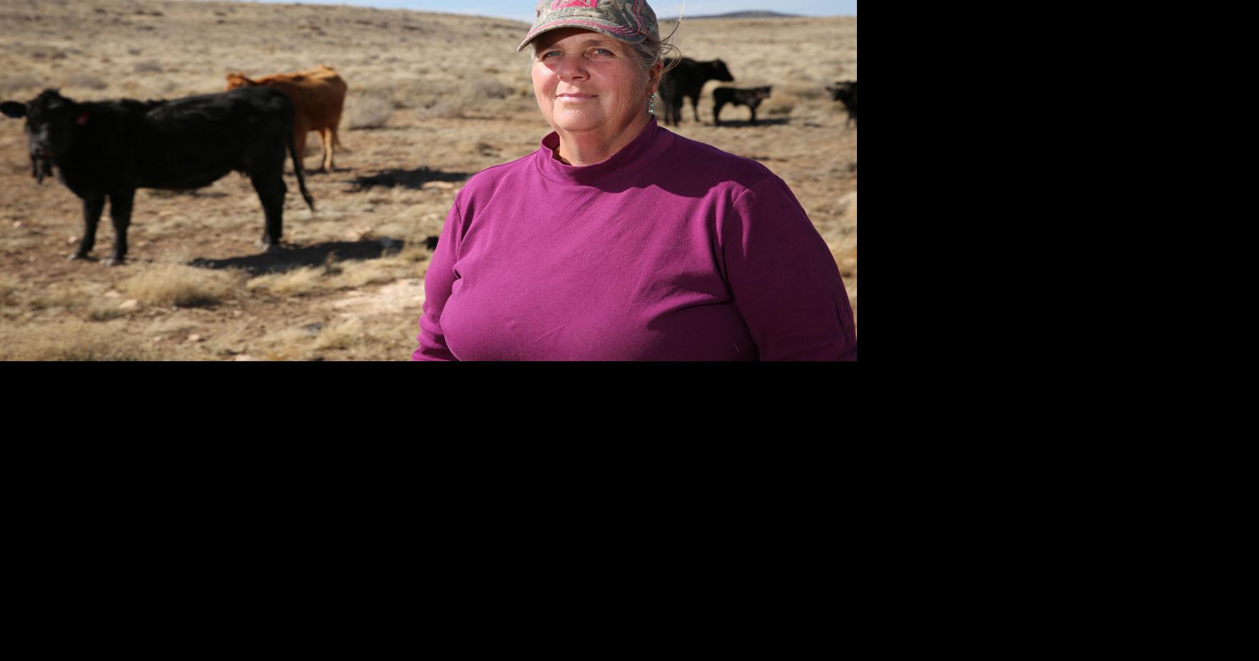 Cow mutilations in Coconino County go back 30 years | Local News ...