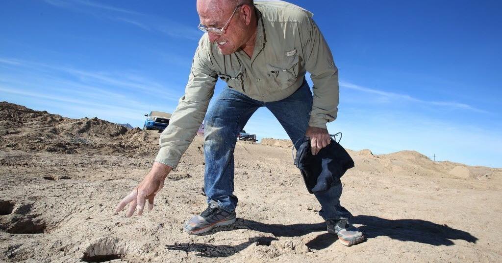 Ancient footprints found at Tucson road construction site | Local News ...