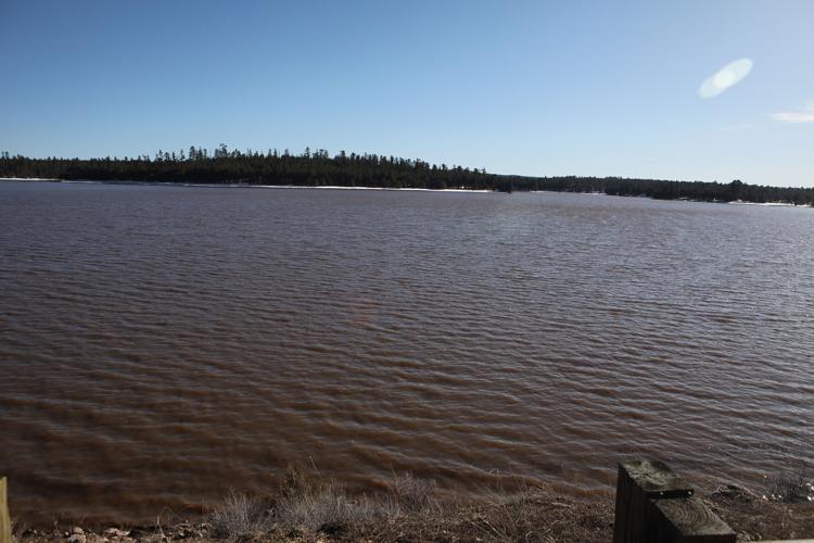 Gallery: Lake Mary's thirst finally quenched | Local News | azdailysun.com